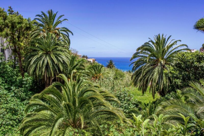 Tenerife: Anaga Rural Park Private Tour - The Sum Up: Who Should Book This Tour?