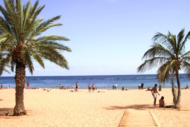 Tenerife: Anaga UNESCO VIP TOUR - Final Thoughts