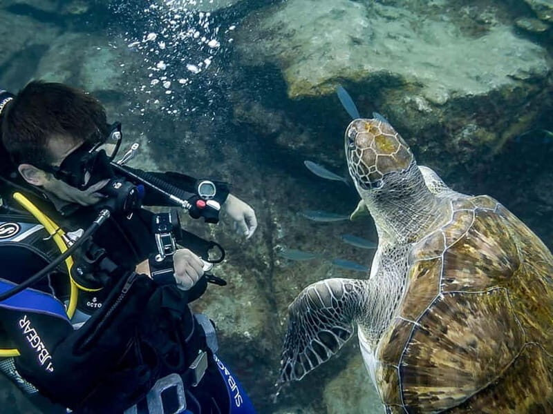 Tenerife: Beginner Scuba Diving Experience with Pickup - Who Is This Experience Best For?