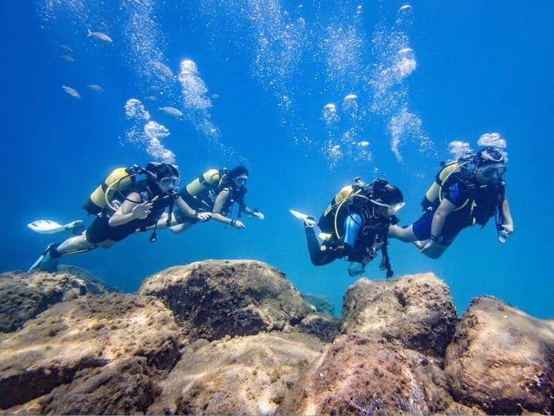 Tenerife: Beginner Scuba Diving Experience with Pickup - Final Words