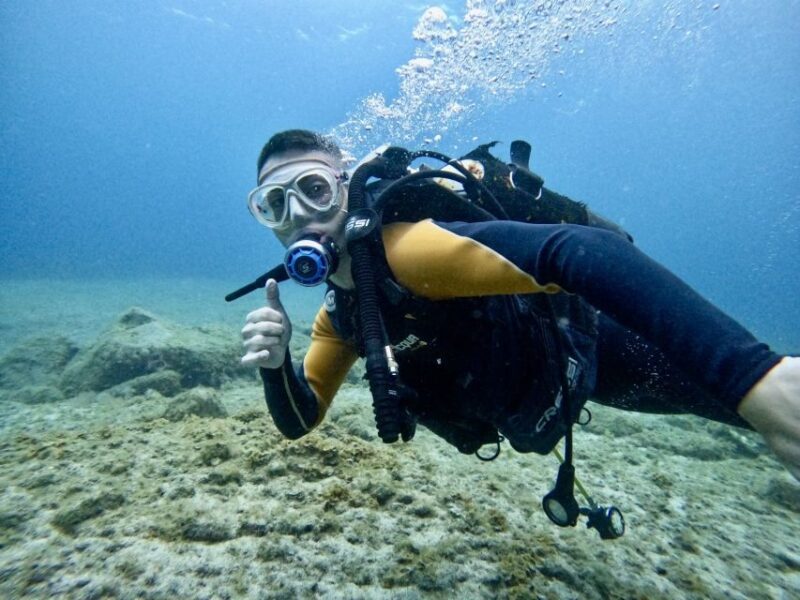 Tenerife: Beginner's Dive at a Spot with Turtle Sightings - Key Points