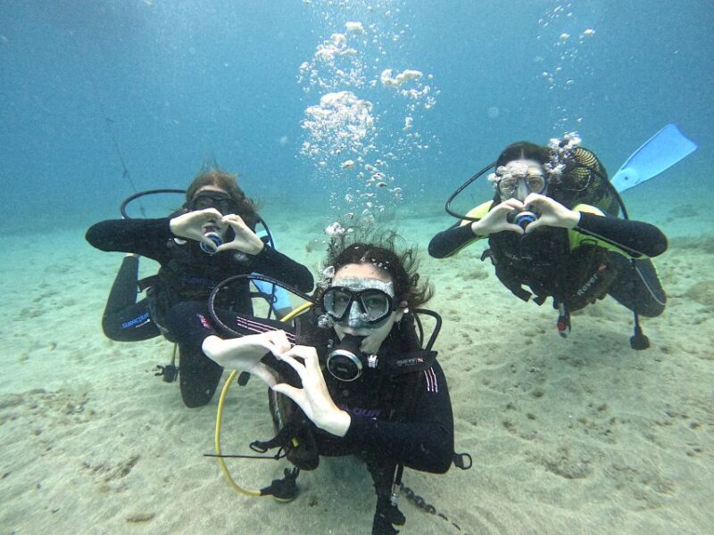 Tenerife: Beginner's Dive at a Spot with Turtle Sightings - An Honest Look at the Tenerife Beginner’s Dive Experience