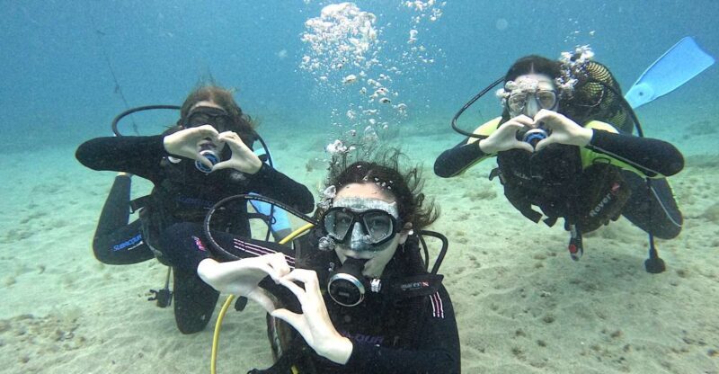 Tenerife: Beginner's Dive at a Spot with Turtle Sightings - Final Thoughts: Who Will Love This Experience?