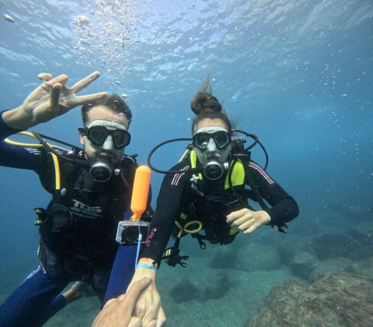 Tenerife: Beginner's Dive at a Spot with Turtle Sightings - In The Sum Up