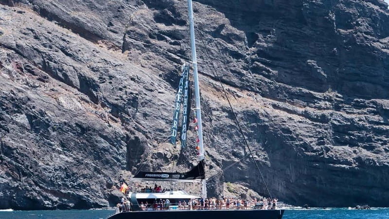 Tenerife: Catamaran Cruise with an Open Bar - The Experience in Detail