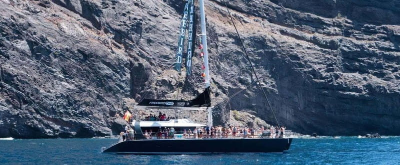 Tenerife: Catamaran Cruise with an Open Bar - Are You a Good Fit for This Tour?