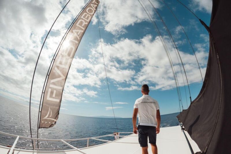 Tenerife: Catamaran Cruise with Brunch and Unlimited Drinks - The Sum Up: Is This Tour Worth It?