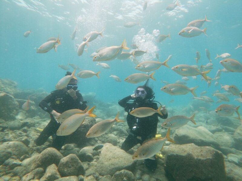 Tenerife: Costa Adeje Private Diving Lesson Experience - Introduction: A Closer Look at Tenerife’s Underwater Adventure