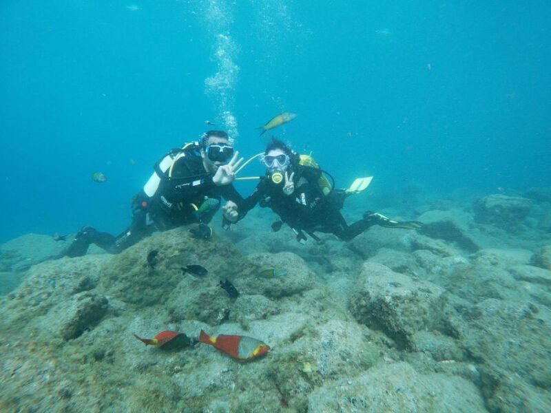 Tenerife: Costa Adeje Private Diving Lesson Experience - The Value of This Private Lesson