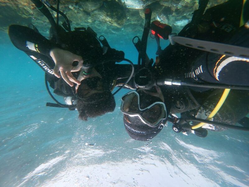 Tenerife: Costa Adeje Private Diving Lesson Experience - Who Will Love This Experience