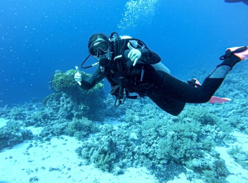 Tenerife - Discover Scuba Diving Experience with Instructor - A Safe, Supportive Way to Experience Underwater Tenerife