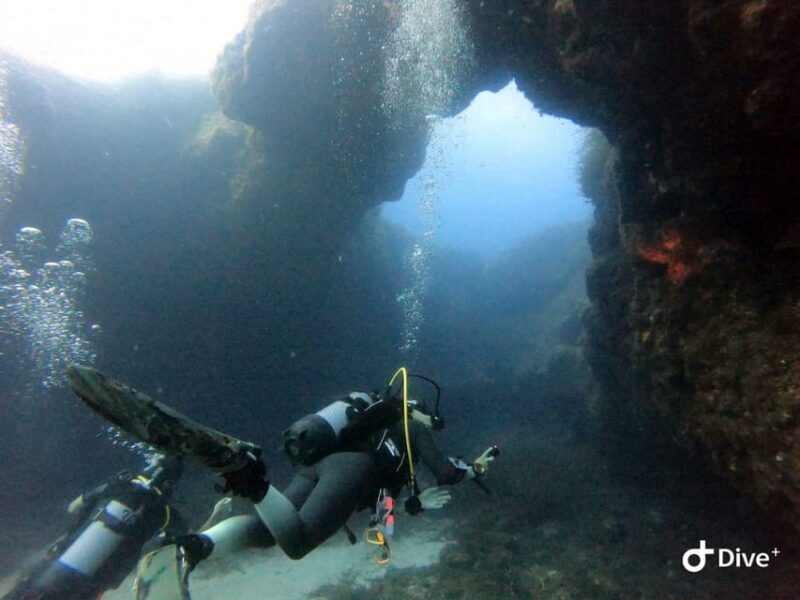 Tenerife - Discover Scuba Diving Experience with Instructor - The Itinerary in Detail