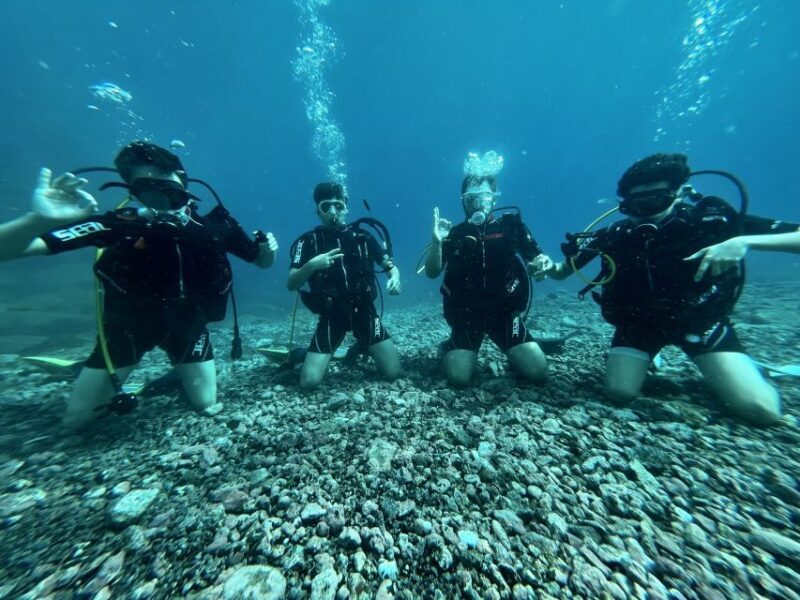 Tenerife : Diving License in one day - Authentic Experiences from Past Participants