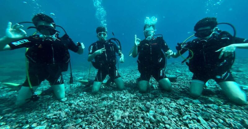 Tenerife : Diving License in one day - Final Thoughts: Is This Tour Right for You?