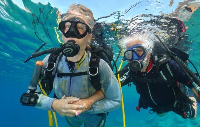 Tenerife : Diving License in one day - FAQ