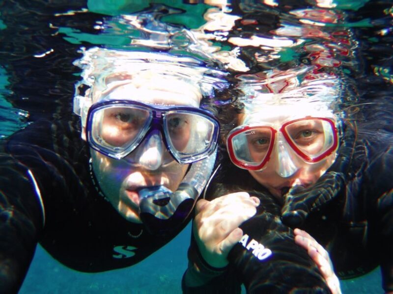 Tenerife Exclusive Snorkeling Trip with Marine Biologist - The Sum Up