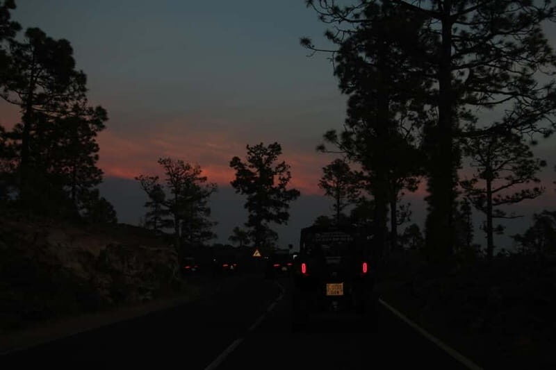 Tenerife: Family 4seats Buggy Tour of Teide - Final Thoughts