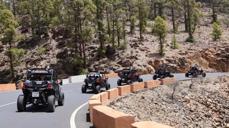 Tenerife: FAMILY 4SEATS- Morning or Sunset Teide Buggy tour - An In-Depth Look at the Tenerife Buggy Experience