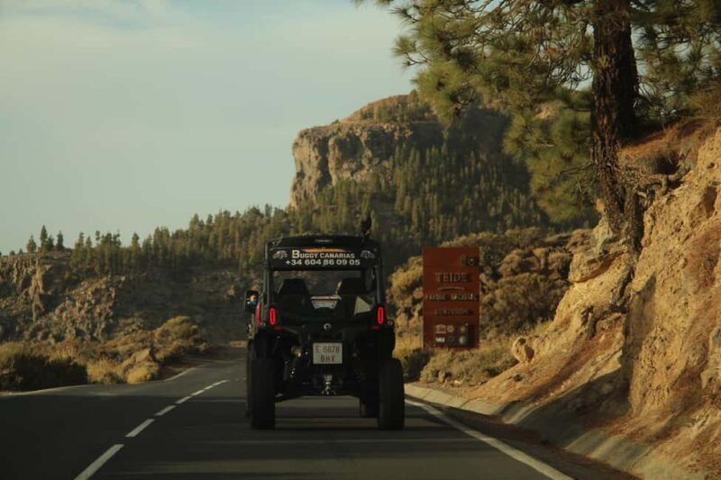Tenerife: FAMILY 4SEATS- Morning or Sunset Teide Buggy tour - Who Is This Tour Best For?