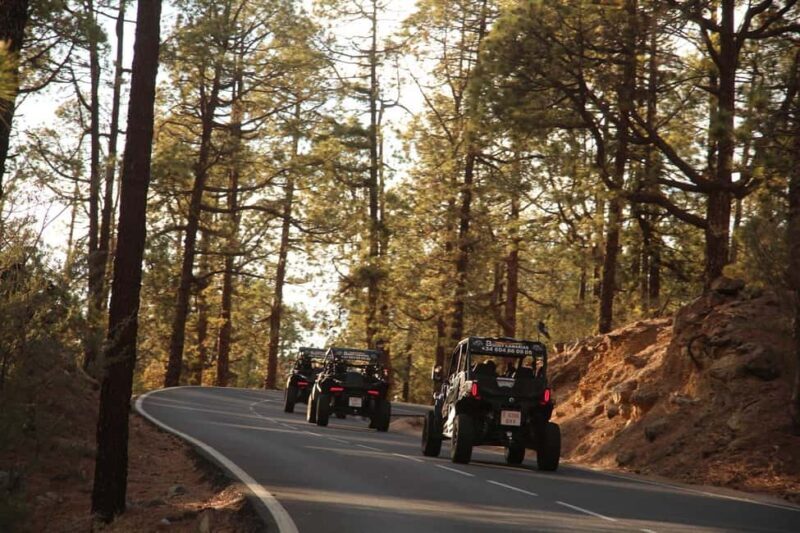 Tenerife: FAMILY 4SEATS- Morning or Sunset Teide Buggy tour - The Sum Up: Is This Tour Worth It?