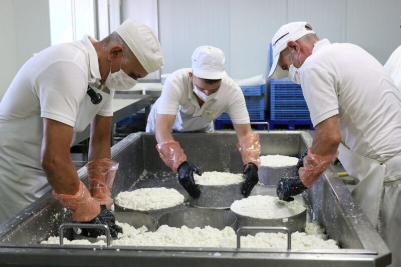 Tenerife - Farm Tour with Cheese Tasting - A Deeper Look at the Farm Tour Experience