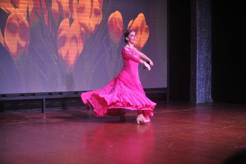 Tenerife: Flamenco Performance at Teatro Coliseo - An In-Depth Look at the Flamenco Experience in Tenerife