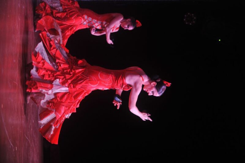 Tenerife: Flamenco Performance at Teatro Coliseo - Summary