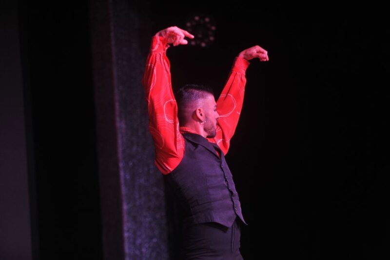 Tenerife: Flamenco Performance at Teatro Coliseo - Who Is This Tour Best For?