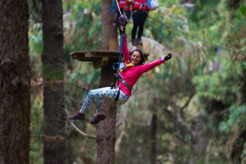 Tenerife: Forestal Park Tenerife Entry Ticket - Pricing and Overall Value