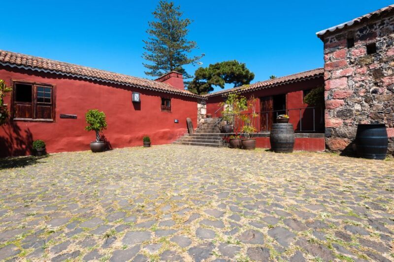 Tenerife: Full-Day Gastronomy and Wine Tour - Who Will Enjoy This Tour?