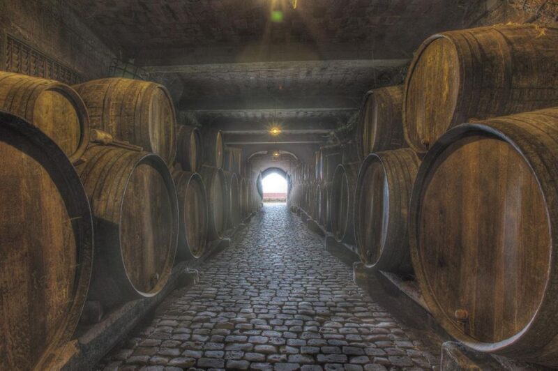 Tenerife: Full-Day Gastronomy and Wine Tour - FAQ
