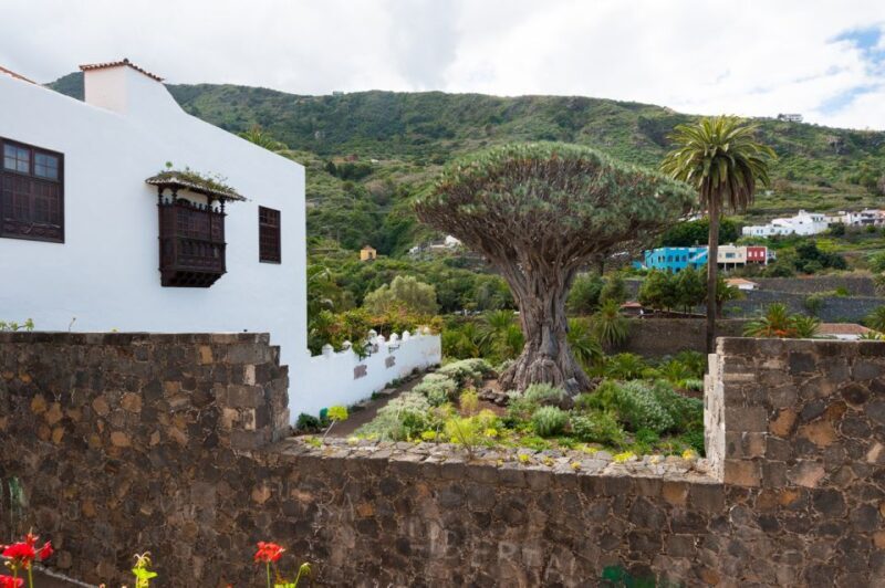 Tenerife: Full-Day Guided Island Tour - Exploring Tenerife in a Day: A Practical Guide to the Full-Day Guided Island Tour