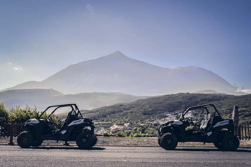 Tenerife: Guided Buggy Discovery Tour around Mount Teide - An In-Depth Look at the Experience