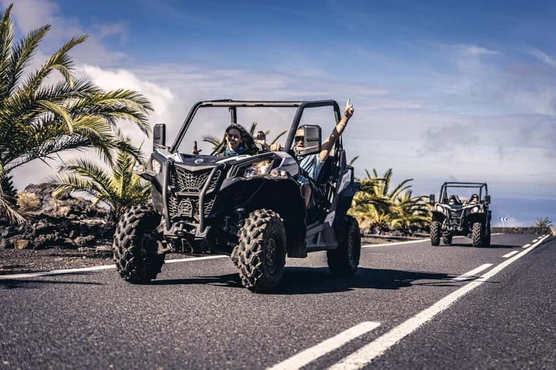 Tenerife: Guided Buggy Discovery Tour around Mount Teide - The Sum Up