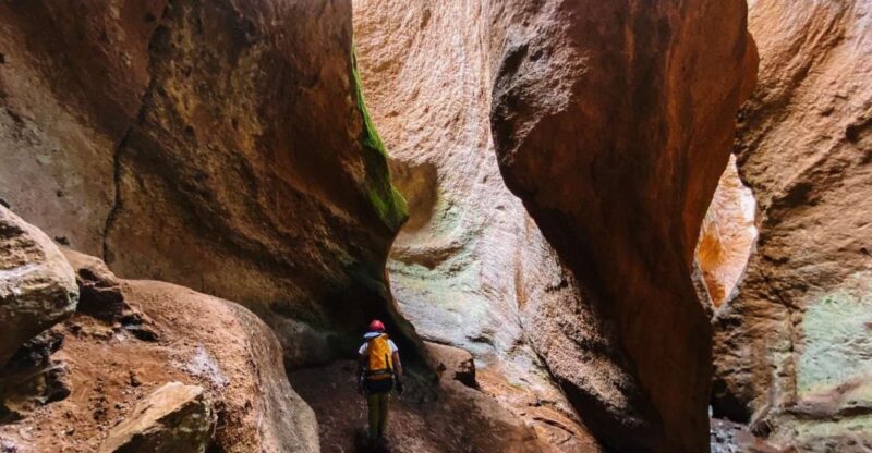 Tenerife: Guided Canyoning Experience in Los Arcos - The Itinerary in Detail