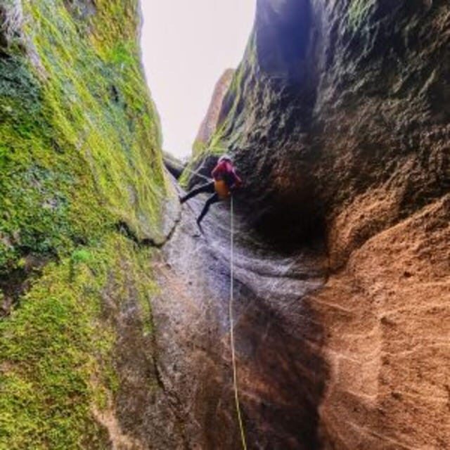 Tenerife: Guided Canyoning Experience in Los Arcos - Who’s This Tour Perfect For?