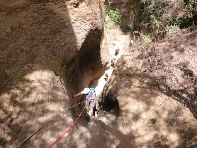 Tenerife: Guided Canyoning Experience in Los Arcos - The Sum Up