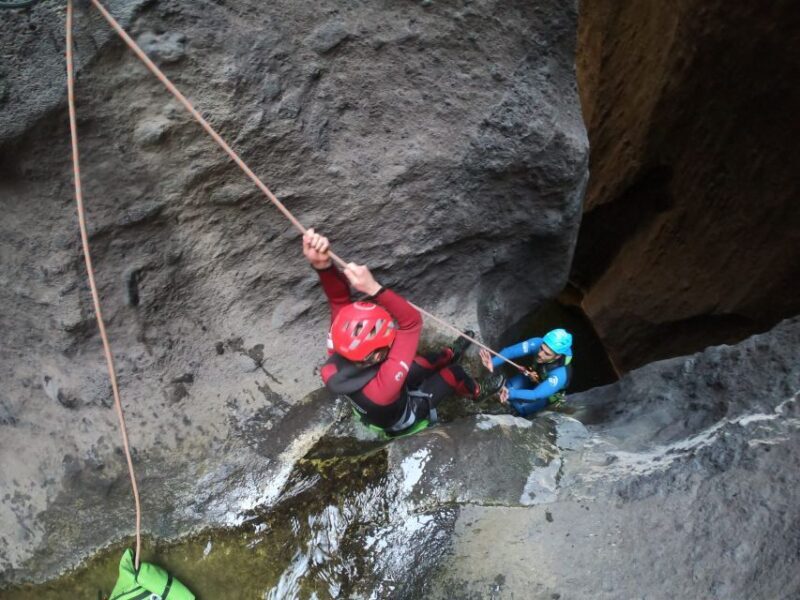 Tenerife: Guided Canyoning Experience - FAQ: Your Questions Answered