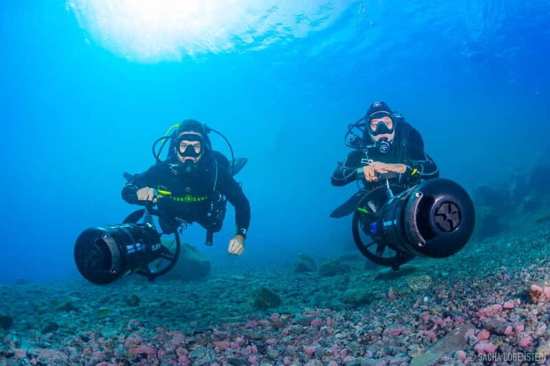 Tenerife: Guided Dive and Scooter Experience - What is the Tenerife Guided Dive and Scooter Experience?