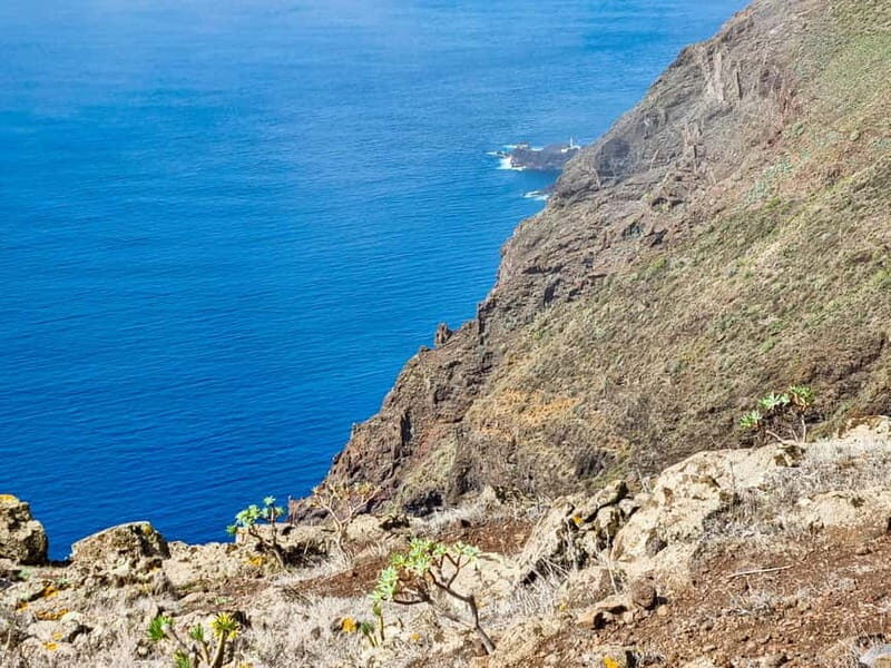 Tenerife Guided Hike: Teno Highlands & Lunar Landscape - Frequently Asked Questions