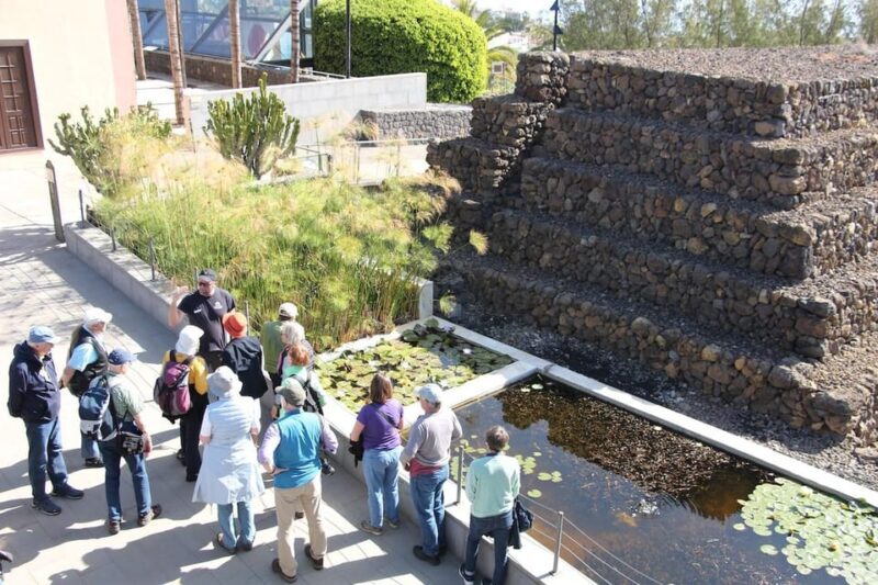 Tenerife: Guided tour at Pirámides de Güímar - A Deep Dive into the Pyramids of Güímar Tour