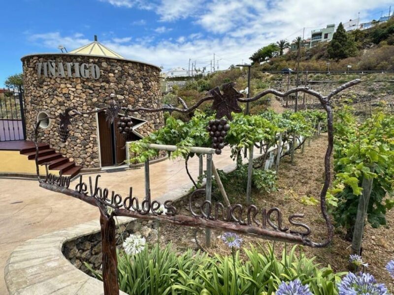 Tenerife: Guided tour with tasting of 6 wines - Summary: Who Should Book?