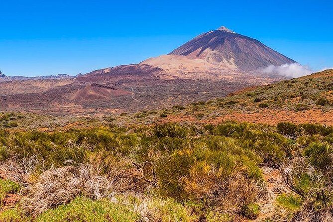 Tenerife Highlights Full-Day Tour - The Verdict: Who Is This Tour Best For?