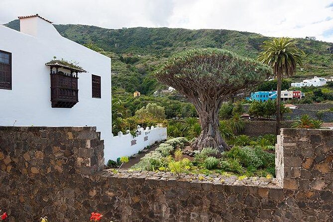 Tenerife Highlights Full-Day Tour - FAQs
