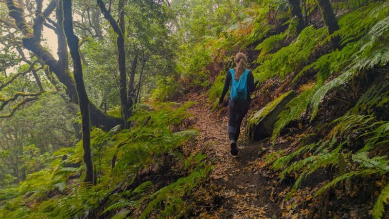 Tenerife: Hike Above Masca in Enchanted Forest with Pick-up - What Travelers Are Saying: The Real Experience