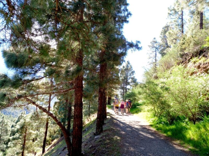 Tenerife: Hiking Above the Village of Masca - A Closer Look at the Tour Experience