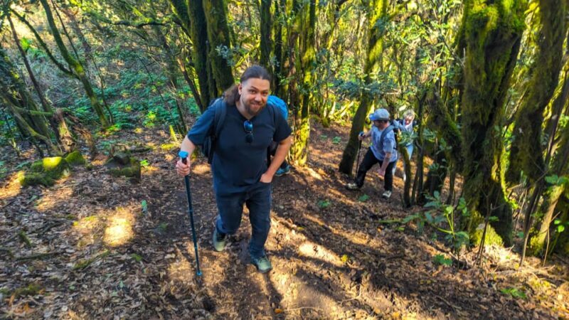 Tenerife: Hiking Tour Above Masca & Enchanted Forest - An In-Depth Look at the Experience