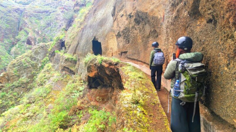 Tenerife: Hiking Tour in Anaga Mountains & Enchanted Forest - Key Points