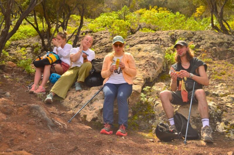 Tenerife: Hiking Tour in Anaga Mountains & Enchanted Forest - A Deep Dive into the Tenerife Anaga Mountain & Forest Experience