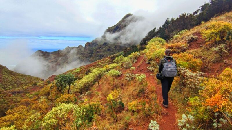 Tenerife: Hiking Tour in Anaga Mountains & Enchanted Forest - FAQ About the Tenerife Anaga Mountain & Forest Hike